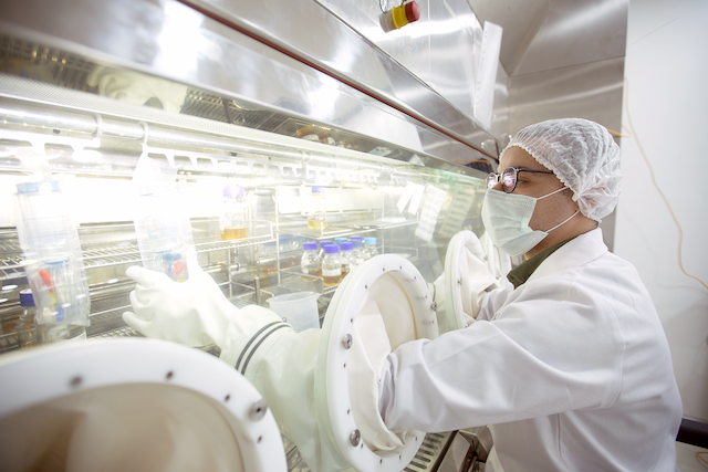 Eva Pharma | Our - Company